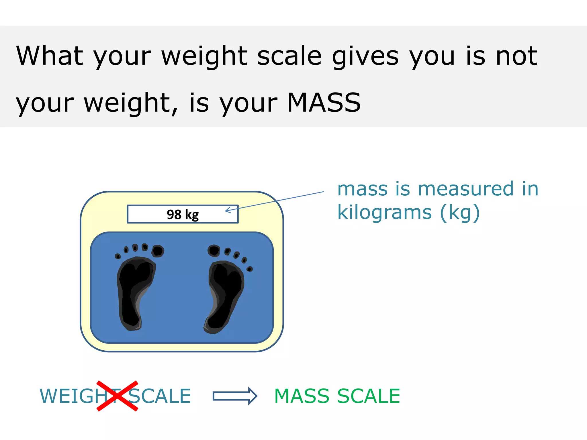 You don't weight what your weight scale tells you | PPT