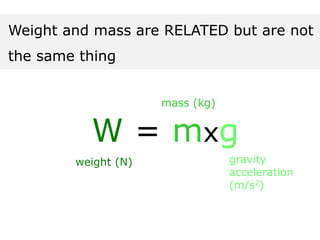 You don't weight what your weight scale tells you | PPT | Free Download