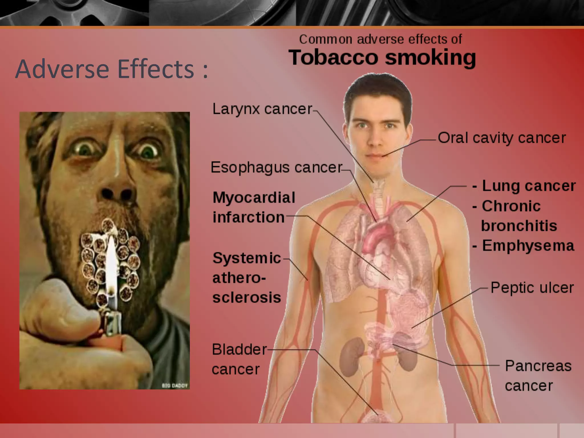 Hazards of Smoking | PPTX
