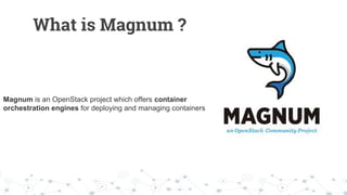 How to integrate Kubernetes in OpenStack: You need to know these ...