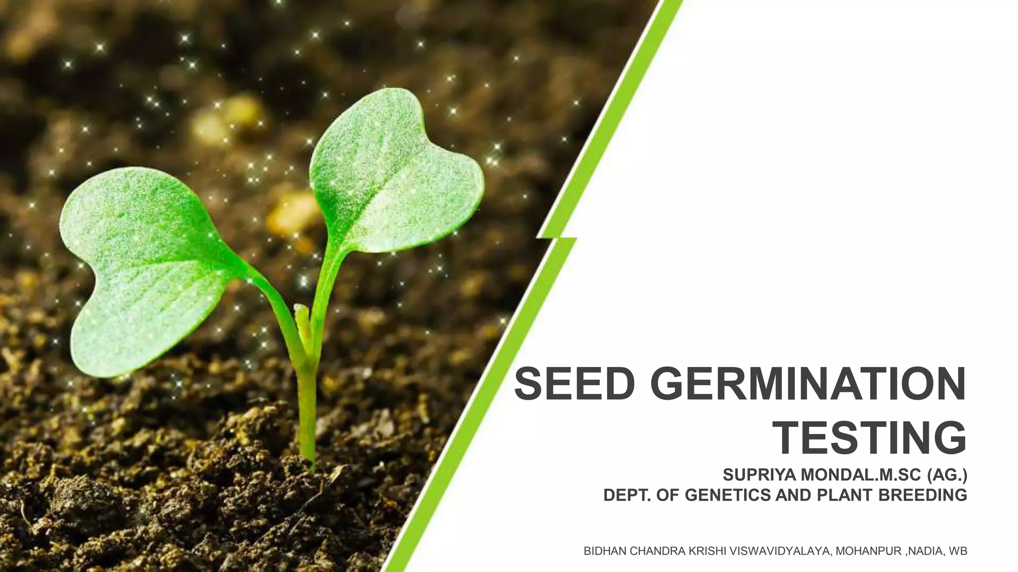 Testing for seed germination | PPTX
