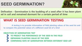 Testing for seed germination | PPTX