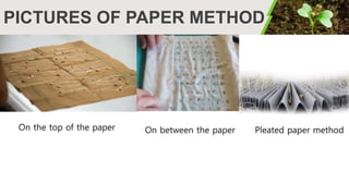 Testing for seed germination | PPTX