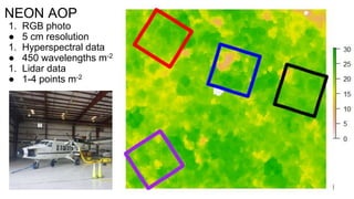 Distinguishing N and P addition from the air using imaging spectrosco…