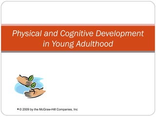 Cognitive Development During Young Adulthood