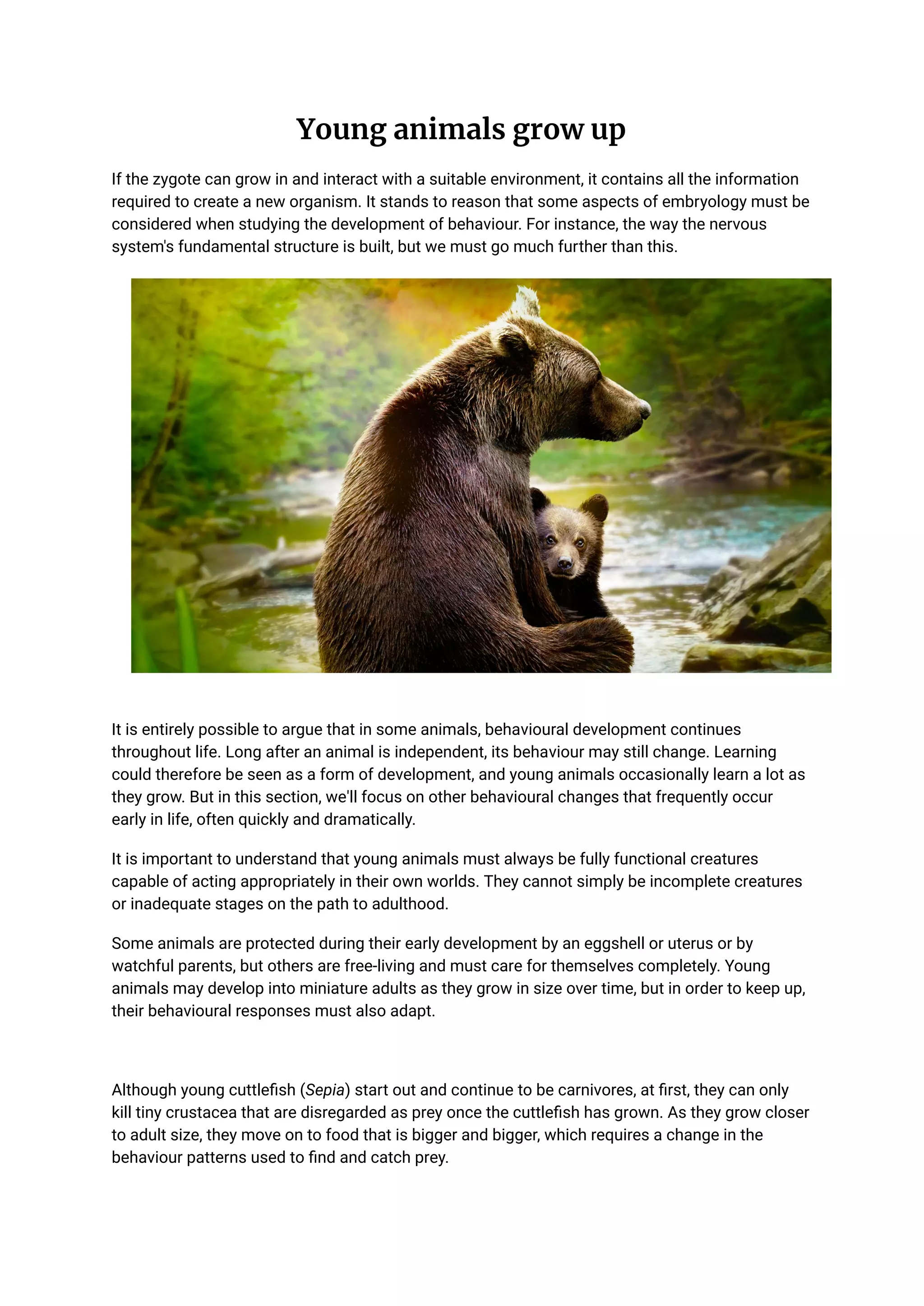 How young animals grow up? | PDF