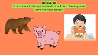 La vida de los animales | PDF