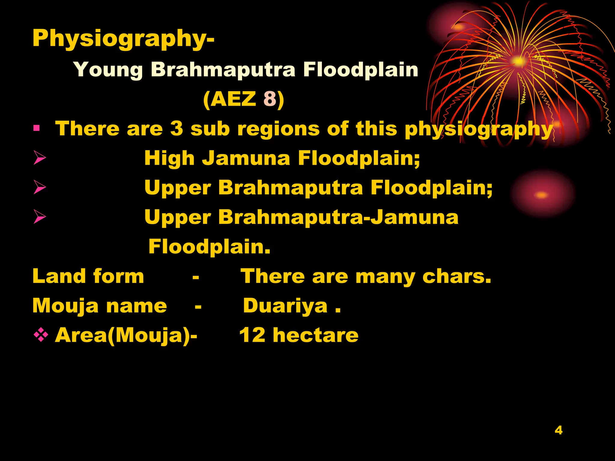 Young brahmaputra floodplain(shingair upazilla) | PPT