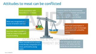 Young consumers and meat | PDF