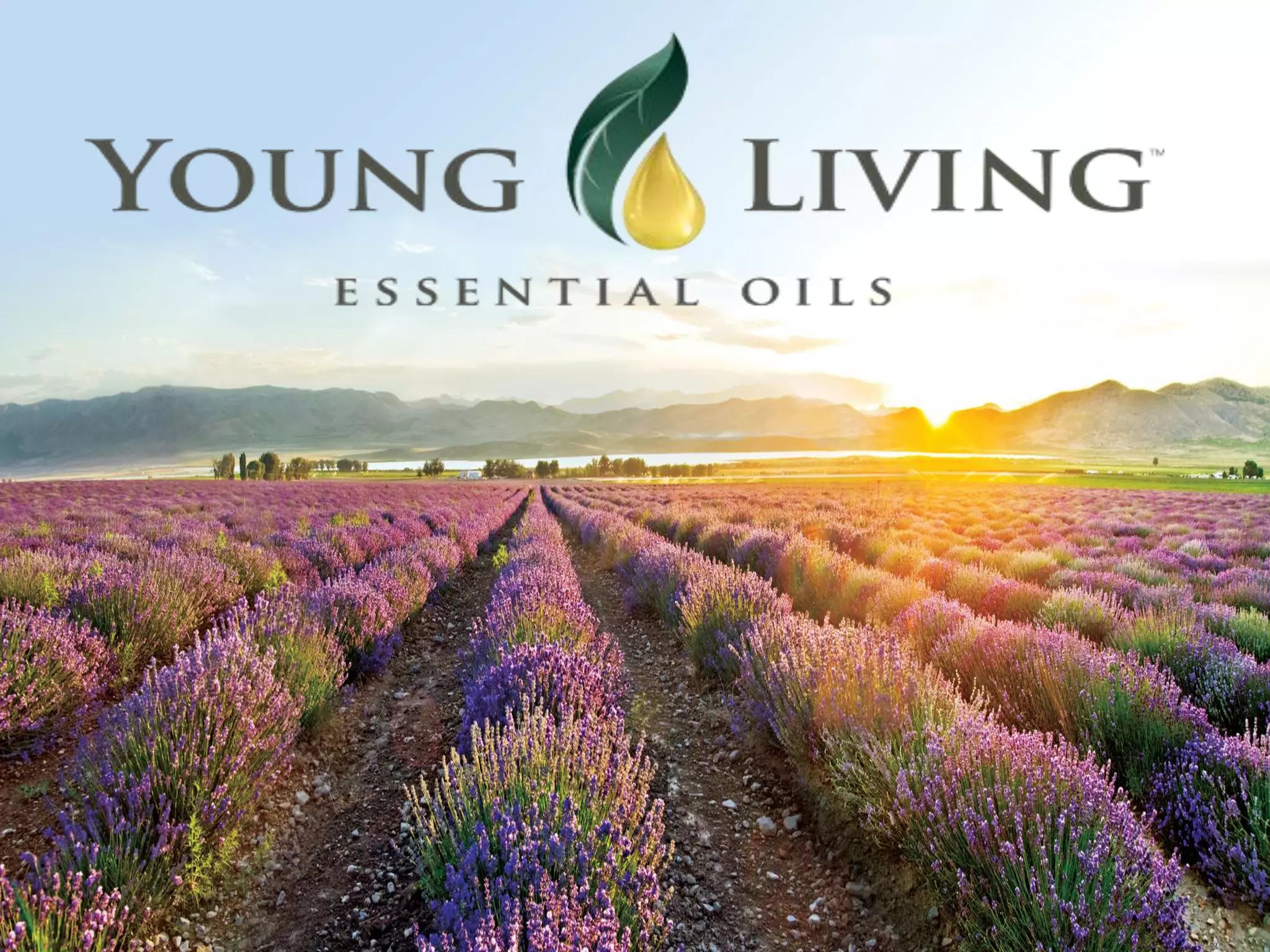 Young livingclasspresentation | PDF