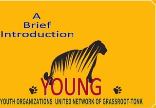 Young network introduction | PPT