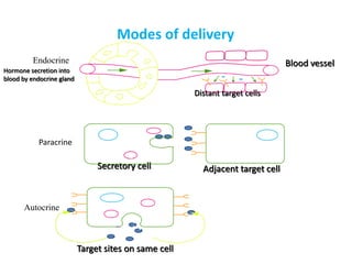 Younis majeed ppt final (1) | PPT