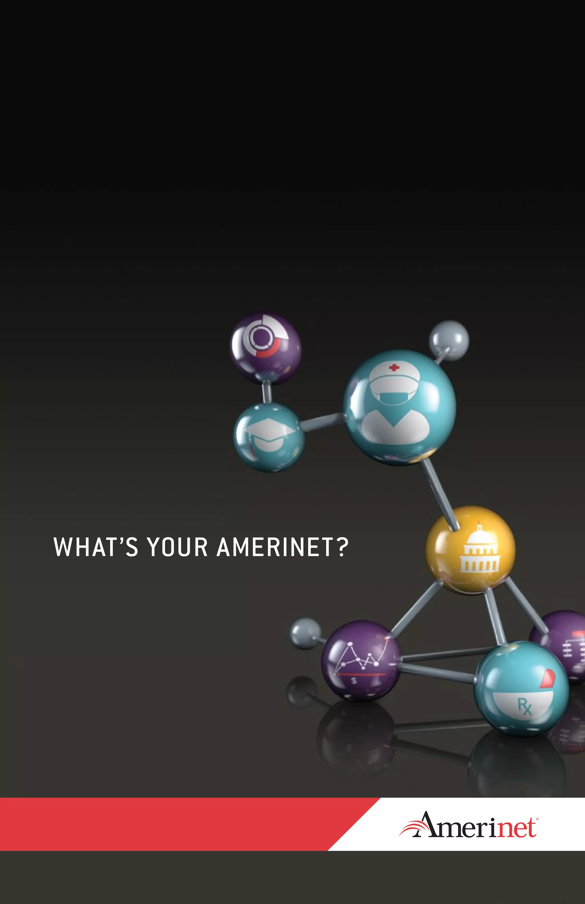 Your Amerinet Brochure | PDF | Healthcare Industry | Industries