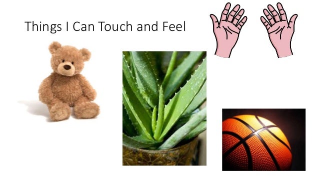 Your 5 senses good presentation