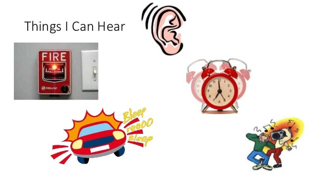 Your 5 Senses Good Presentation your-5-senses-good-presentation