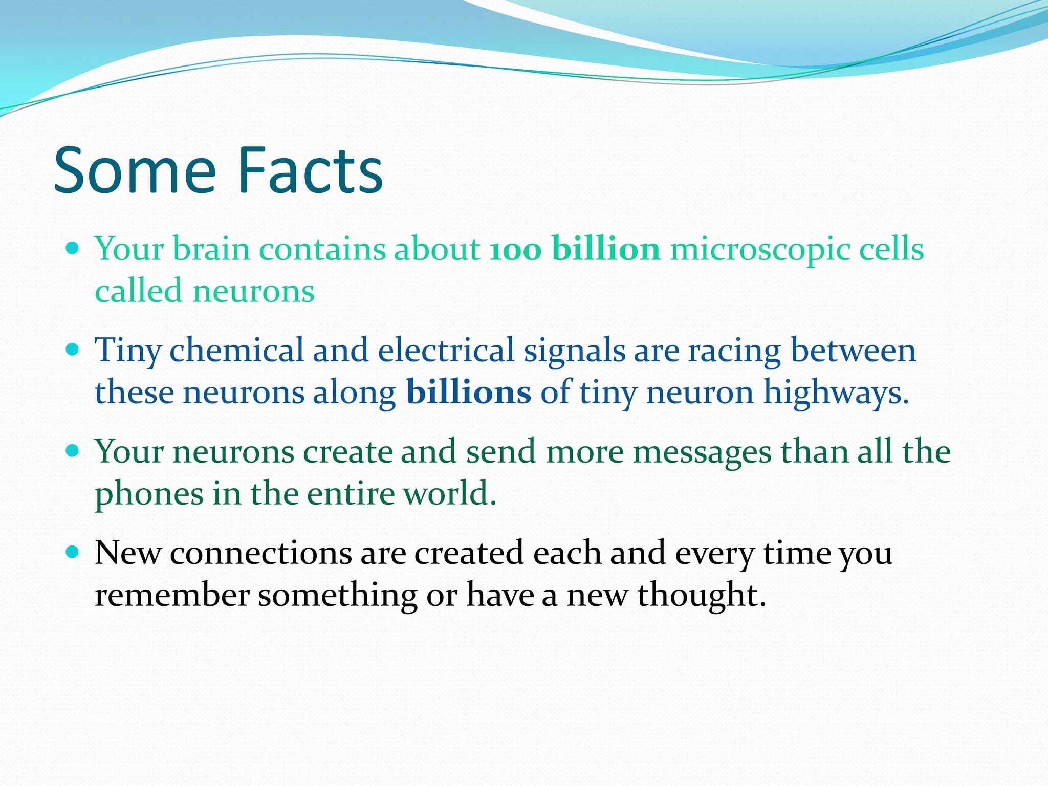 Your Amazing Brain | PPTX