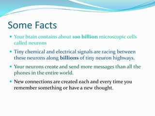 Your Amazing Brain | PPTX