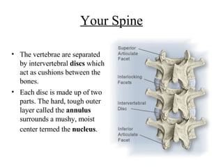 Lifting and Your Back | PPT