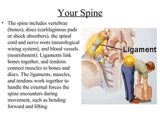 Lifting and Your Back | PPT