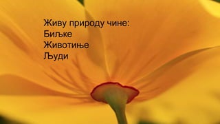 Sta cini prirodu | PPTX