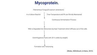 Meat Analogue | PPTX
