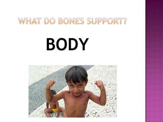 YOUR BODY - BONES, MUSCLES AND JOINTS | PPT