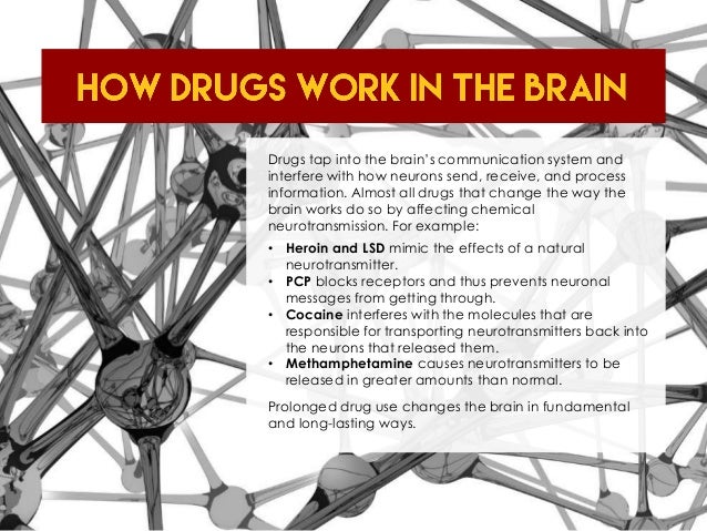 Your Brain On Drugs Understanding Drug Addiction