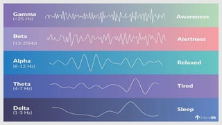Your Brain on Java | PPT
