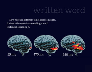 Your Brain on Words | PDF | Eye and Vision Conditions | Diseases and ...
