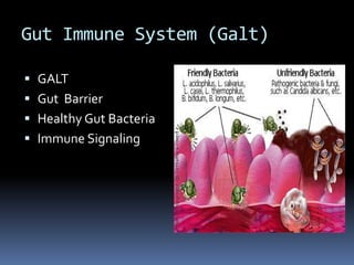 Your Digestive Health | PPTX