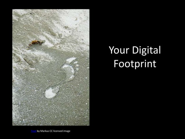 Your Digital Footprint | PPTX | Social Networking | Internet