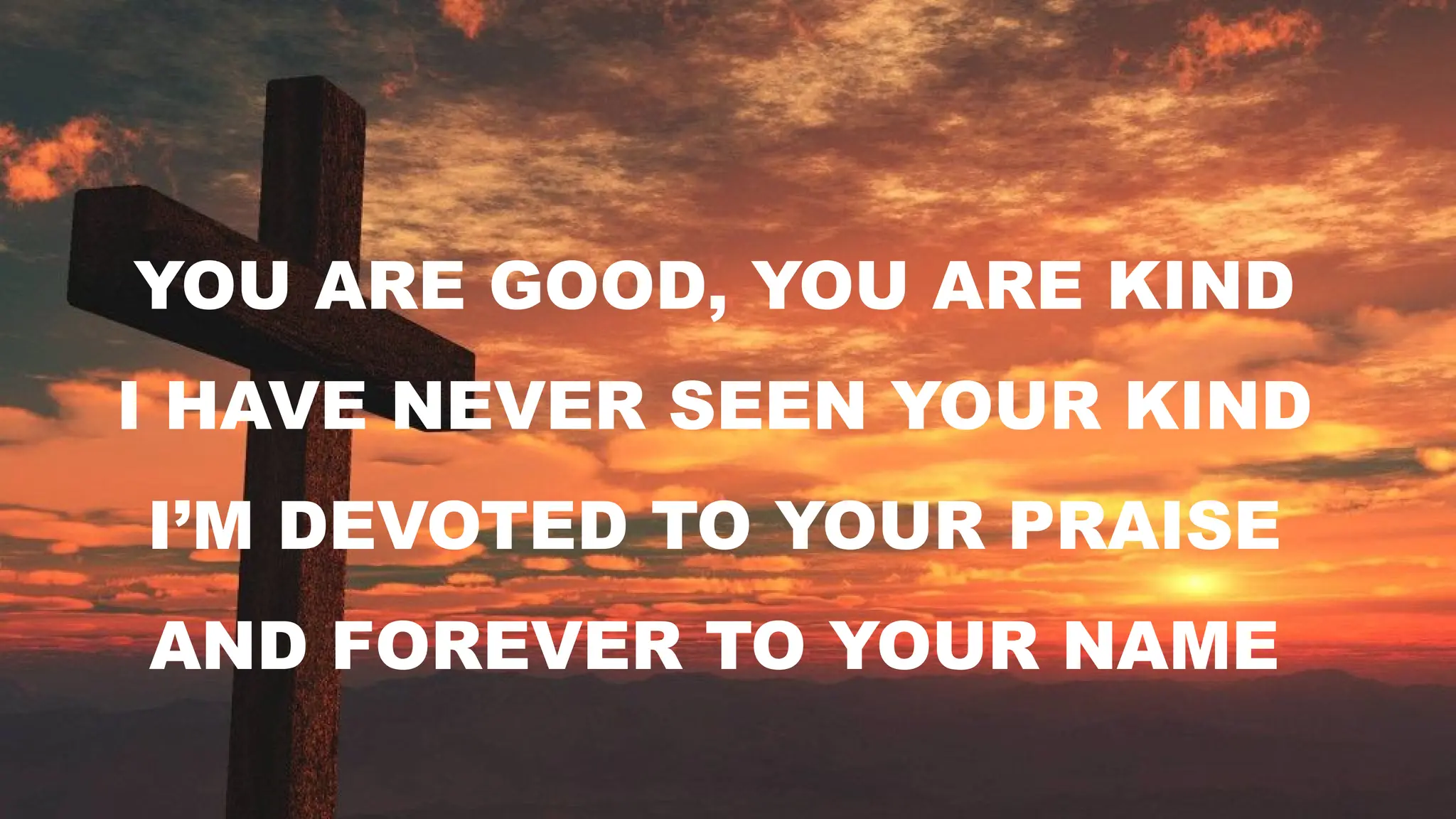 YOU'RE GOOD, YOU ARE KIND, I HAVE NEVER SEEN YOUR KIND LYRICS.pptx