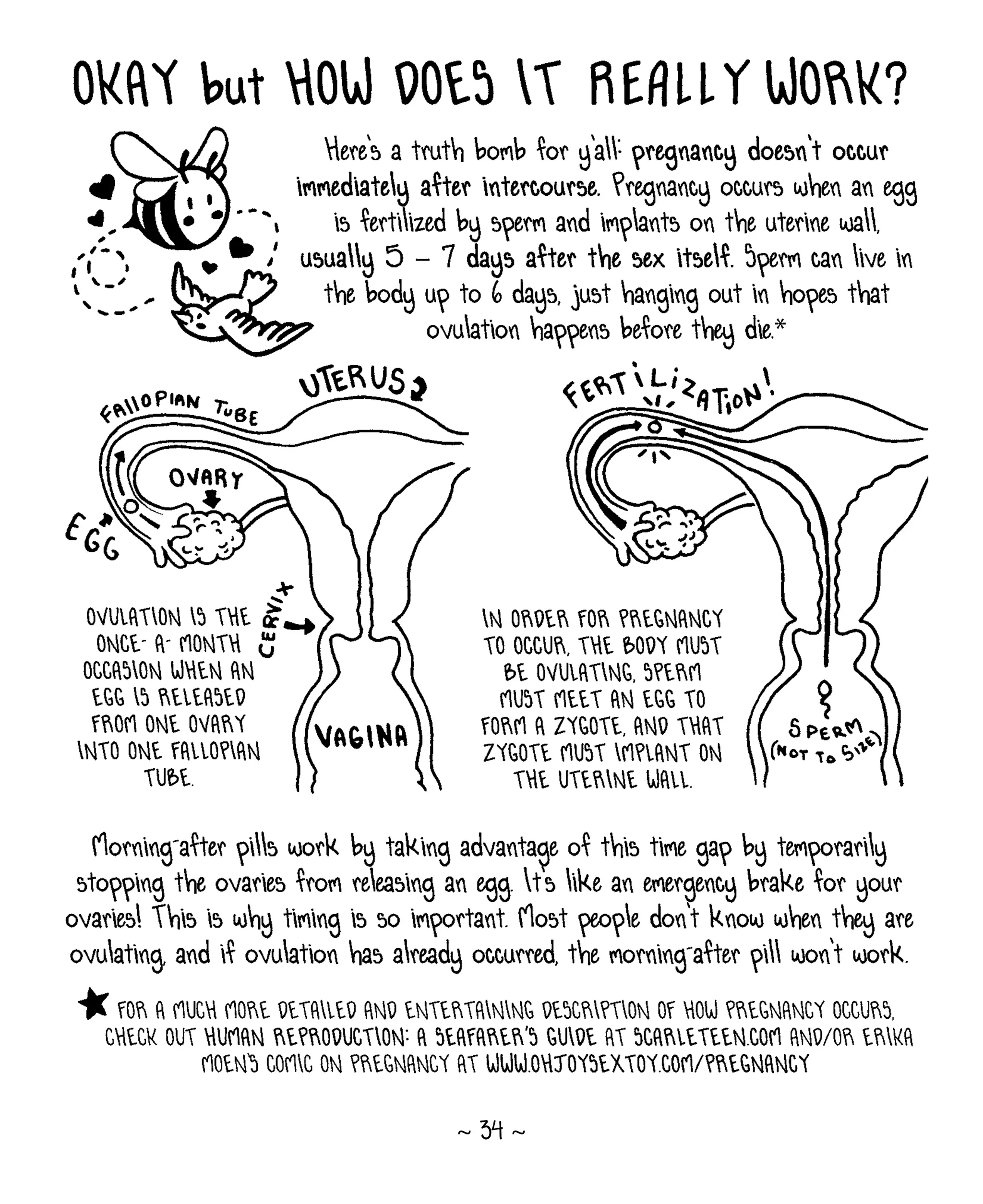 Youre So Sexy V2 Pdf