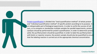 Your guide to protein quantitation | PPT