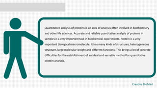 Your guide to protein quantitation | PPT