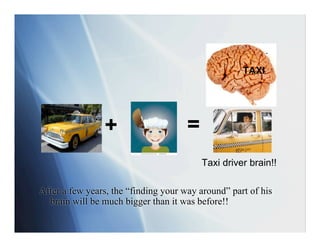 Your Incredible Brain: Part One | PPT