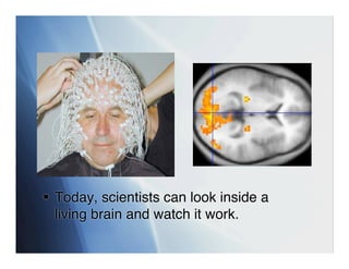 Your Incredible Brain: Part One | PPT