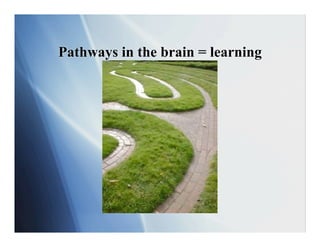 Your Incredible Brain: Part One | PDF