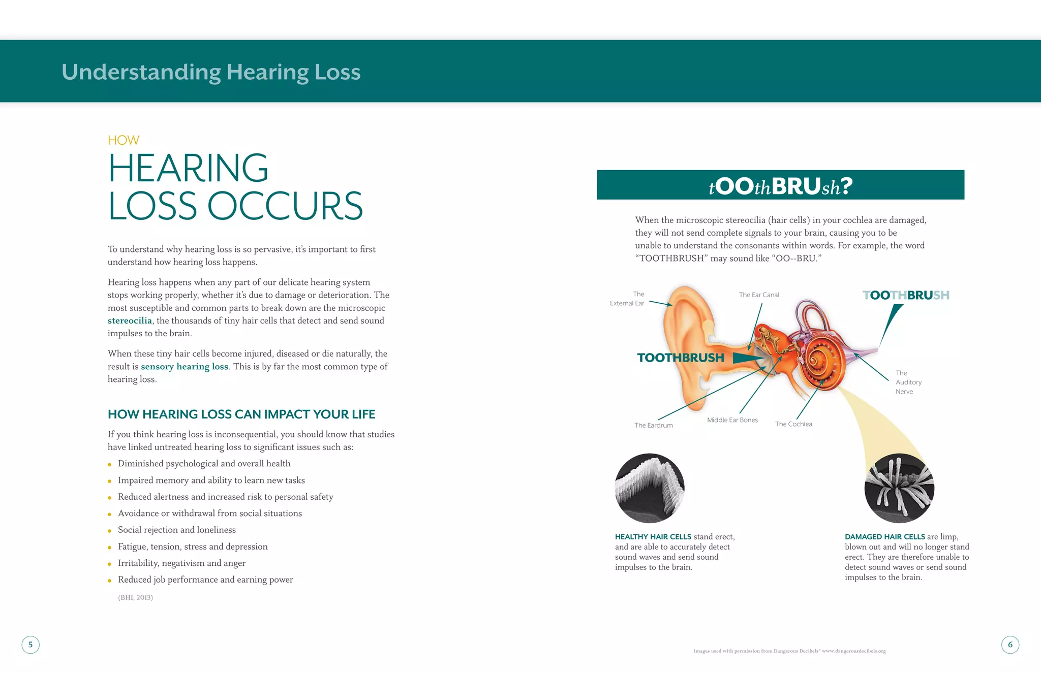 Your journey to better hearing booklet | PDF
