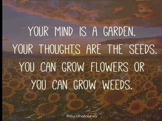 Your mind is a garden | PPTX
