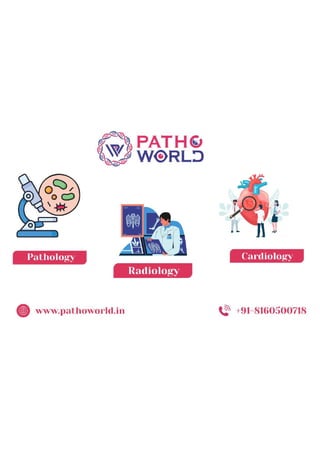 Best Pathology Lab in Bopal - Patho world | PDF