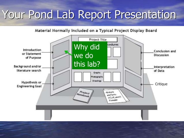 What to include in your lab report presentation | PPT