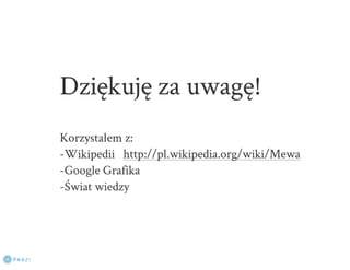 Mewy | PDF