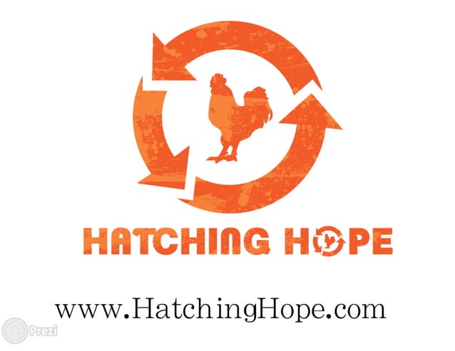 Hatching Hope | PDF