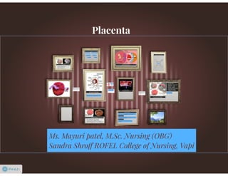 Placenta | PPT