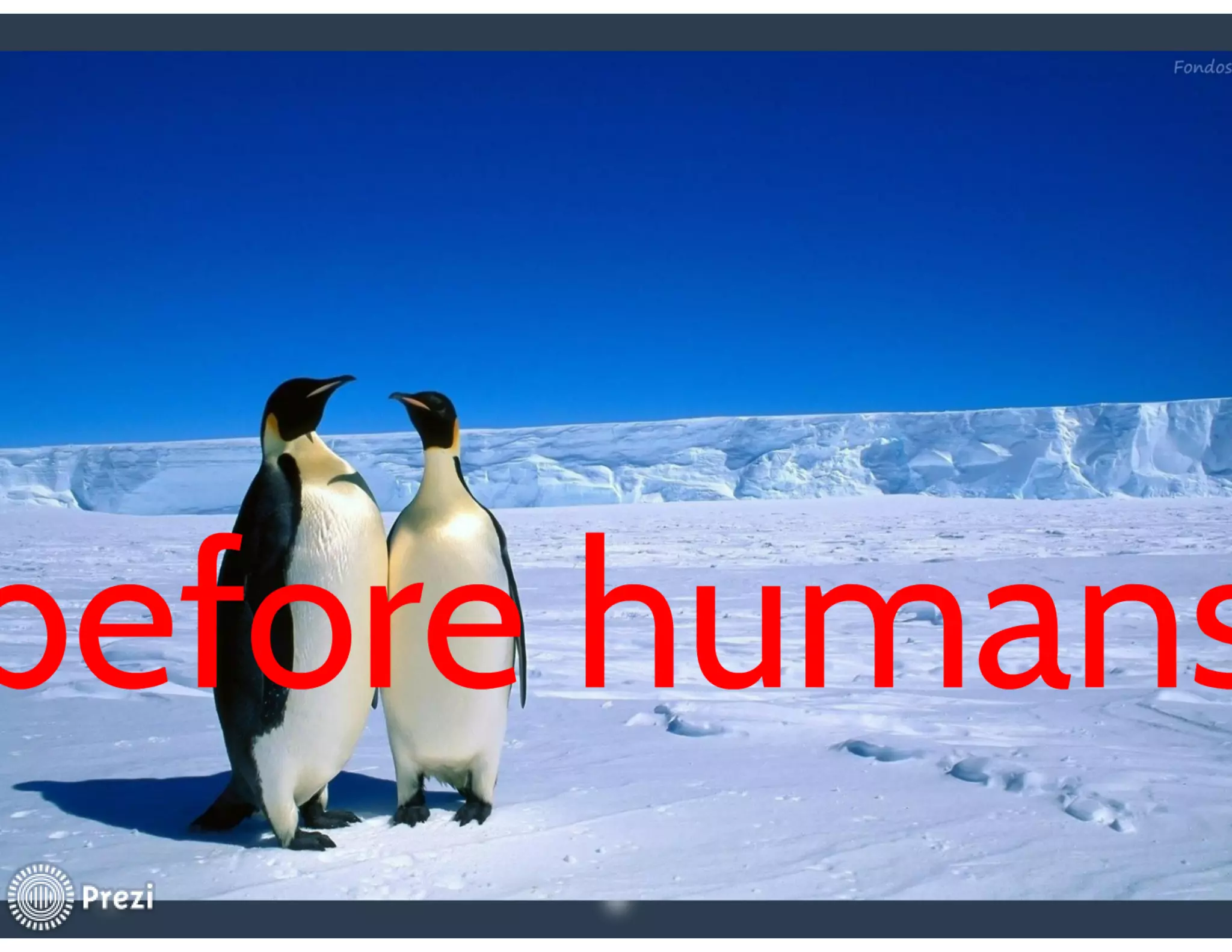 Film Comparison, Avater vs Happy Feet. | PDF