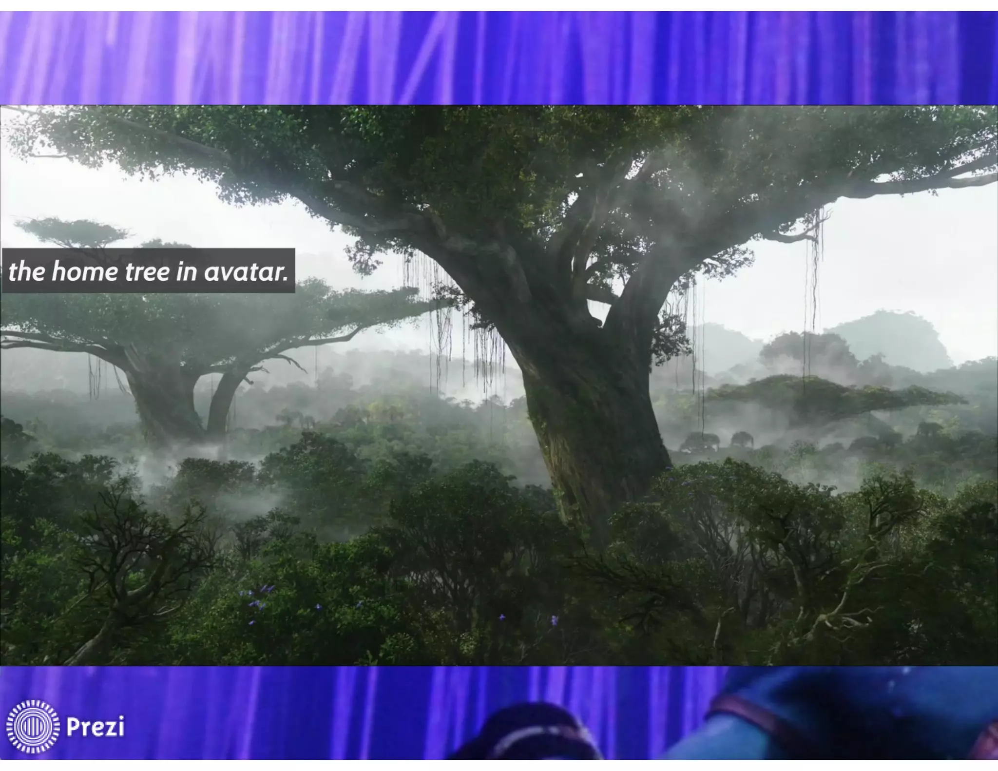 film comparison: The Lorax vs Avatar | PDF