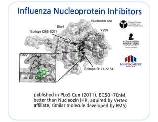 Quantum Pharmaceuticals | PDF