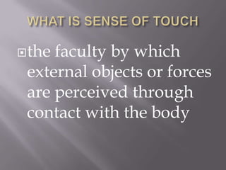 Your sense of touch | PPTX