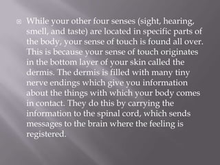 Your sense of touch | PPTX
